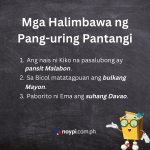Uri ng Pang-uri: Tatlong Uri ng Pang-uri at mga Halimbawa nito • Noypi ...